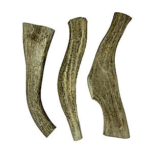 Deer Valley Chews Premium Deer Antler for Dogs - Medium 5-7 Inches Long, 3 Pack - All Natural Dental Treat for Teething and Chewing - Premium Grade, Naturally Shed