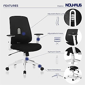 Nouhaus Palette Ergonomic Office Chair Comfortable Swivel Computer Desk Chair, Lumbar Adjust Rolling Chair. (Black)