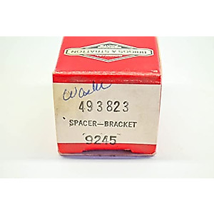 Briggs & Stratton 493823 Lawn & Garden Equipment Engine Spacer Genuine Original Equipment Manufacturer (OEM) Part
