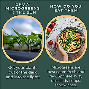 Window Garden Microgreens Grow Kit - Non GMO, Organic Microgreen Seeds, Fiber Soil, Acrylic Tray, Sprayer - Indoor & Outdoor Tools for Gardening, Seedling, Planting Superfood, Hydroponic Growing Kit