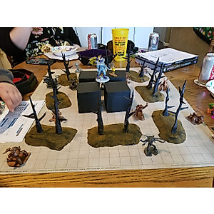 Chessex Role Playing Play Mat: Battlemat Double-Sided Reversible Mat for RPGs and Miniature Figure Games (26 in x 23 1/2 in) Squares/Hexes