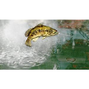 Rapala Pro Bass Fishing 2010 - Xbox 360 (Renewed)