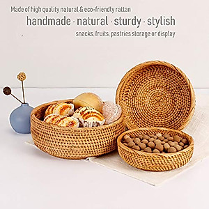 AMOLOLO Hadewoven Round Rattan Fruit Basket Wicker Food Tray Weaving Storage Holder Dinning Room Bowl, 10 Inch Woven Bread Basket Key Bowls with 4”Wall for Table, Countertop (Large 9.8")