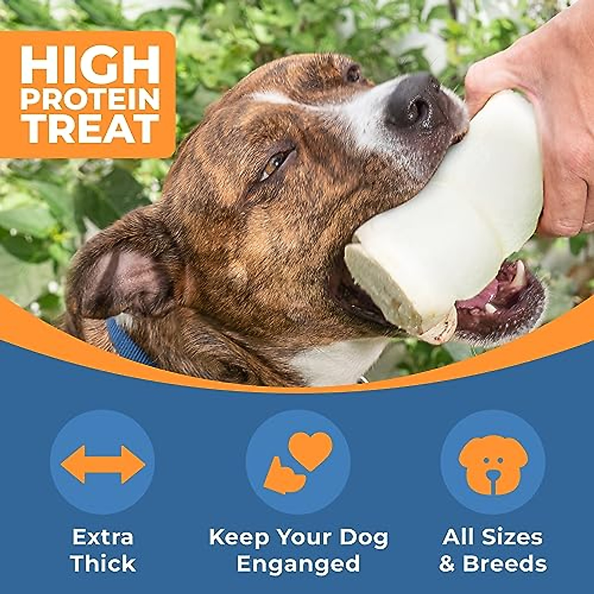 K9warehouse® - Beef Cheek Rolls for Dogs - Thick 6 Inch Buffalo Beef Cheek Rolls, Large - Premium Cow Cheek Roll Dog Treats - Rawhide Free Dog Chews Long Lasting - Pack of 4
