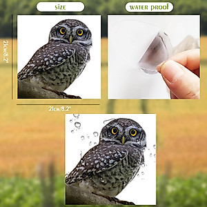 ROLY BEE 8.2 x 8.2-inch Realistic Owl Removable Vinyl Sticker for Windows (or Any Flat Surface)