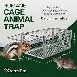 Humane Squirell Trap, Chipmunk and Rat Trap Cages That Works, Humane Mouse Trap for Home | Catch and Release | Reusable and Durable | No Kill Animal Trap | for Inside Home and Outdoor Use
