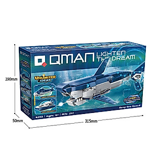 QMAN RC Car STEM Building Toys, 425 Pieces Remote Control Building Blocks Model Car Kit,Racing Car Model Building Block for Boys and Girls Age 6-12