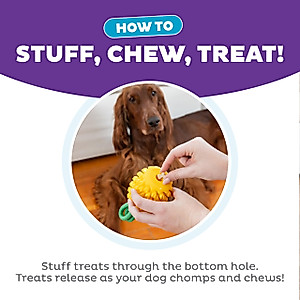 Outward Hound by Planet Dog Dental Pineapple Dental Chew Toy and Interactive Treat Stuffer Durable Dog Toy Stuffable Dog Toy, Yellow