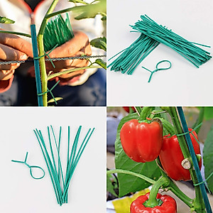 SupKing Plant Stakes,17&12 Inch Wood Plant Sticks 30 Pack Orchid Stake Sturdy Green Bamboo Plant Support Stake Gardening Floral Potted Plant Support