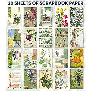 FAYWARE Washi Vintage Stickers for Scrapbooking - Ephemera Sticker Book for Journaling with 453 Botanical Stickers and 20 Scrapbook Papers. Ephemera for Junk Journals, Journaling Supplies for Adults