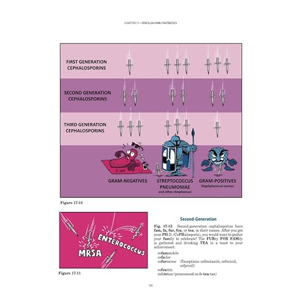 Clinical Microbiology Made Ridiculously Simple: Spiral Bound Color Edition