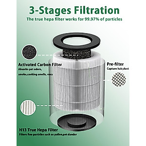 JF100 Replacement Filter Compatible with JF100 Air Purifier, 3-IN-1 True HEPA and High-Efficiency Activated Carbon Filter, JF100 Filter, 2 Pack