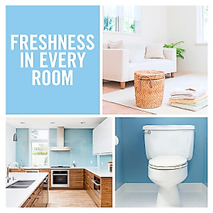 Febreze 300 ml Lavender Air Freshener Spray - Pack of 6