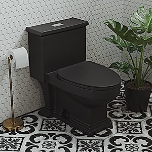 Voltaire One-Piece Elongated Toilet Dual-Flush 1.1/1.6 gpf in Matte Black