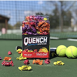 Quench Gum Tub, New Variety Fruit 300,300 Count (Pack of 1)