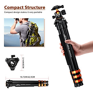 GEEKOTO Tripod, Camera Tripod for DSLR, Compact Aluminum Tripod with 360° Ball Head, 62 Inch Professional Tripod with 1/4 Inch Quick Release Plate, for Video Conferencing, Travel and Work