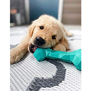 Willie Bones | Modern Dog Chew Toy | Almost Indestructible Dog Toys for Aggressive Chewers | Tough + Durable + Strong Natural Rubber Bone Toy for Small + Large Dogs + Puppy Teething | Boredom Chews