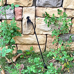 XFJTECH Weed Puller Tool 2024 Upgrade Artifact Uprooting Weeding Tool Length of 19.7in Stainless Steel Multifunctional 4 Teeths Manual Weeders for Garden, Yard, and Farm (1Pc)