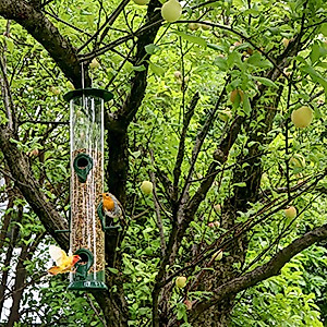 MIXXIDEA Bird Feeder Tube Hanging Feeders, 6 Port Wild Bird Feeders Premium Hard Plastic with Steel Hanger Weatherproof and Water Resistant Great for Attracting Birds 18.2 Inches Large (Dark Green)