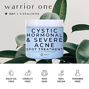 Ayadara Warrior One (0.5oz) Acne Spot Treatment with 2% Salicylic Acid, Cystic and Hormonal Acne Cream, Acido Salicilico Acne Spot Treatment for Face, acne Cream for Adults and Teens, 150+ Uses