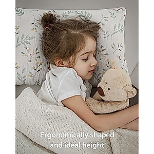 Blissful Diary Toddler Pillow with Muslin Cotton Pillowcase, 13x18 Kids Pillows for Sleeping and Traveling, Crib Pillow, Small Pillow for Kids, Toddler Bed Pillows (Botanical Leaf)