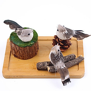 Warmtree 24 Pcs Artificial Simulation Birds Feather Mini Bird Decorative Fake Birds for Christmas Tree Craft Home Ornaments Garden Wedding Decoration (Set B)