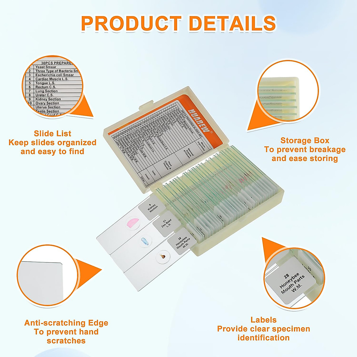 HUAREW 30 Pcs Microscope Slides with Specimens for Kids, Glass Prepared Slides Set for Microscope Accessories, Biology Gifts and Basic Science for Kid Education