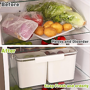 Moretoes 1 Pack Veggie Tray with Lid Sealed Sectioned Fruit Snack Serving Platter Vegetable Storage with 4 Compartments Fruit Storage Containers for Fridge (7.8L)