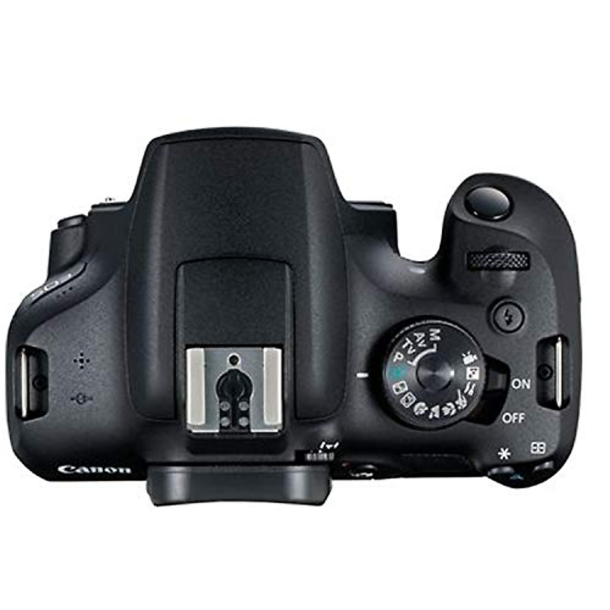 Canon EOS 2000D (Rebel T7) DSLR Camera w/EF-S 18-55mm F/3.5-5.6 Zoom Lens + 64GB Memory + Case+ Steady Grip Pod + Filters + Remote + 2X Batteries + More (30pc Bundle)