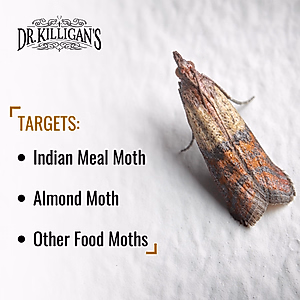 Dr. Killigan's Premium Double Potent Pantry Moth Traps with Pheromones Prime, Indian Meal Moth Traps for House, How to Get Rid of Moths in House (6 Count, Blue)