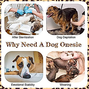 Kuoser Dog Surgery Recovery Suit, Recovery Suit for Female Male Dogs, Dog Onesie After Surgey Spay Neuter, Anti-Licking Pet Surgical Recovery Snugly Suit, Bodysuit for Abdominal Wounds Skin Disease