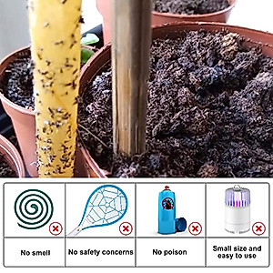 40 Pack Fly Strips Indoor Sticky Hanging, Fly Paper Strips Indoor Hanging, Fruit Fly Traps for Indoors/Outdoors, Fly Trap Fly Catcher Gnat Traps for House Fruit Flies