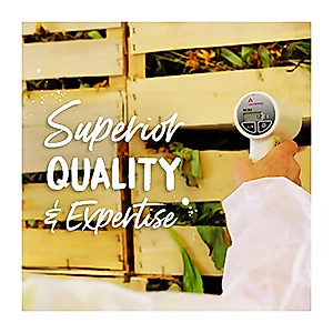 Boiron Ferrum Phosphoricum 6C, 80 Pellets, Homeopathic Medicine for Fever