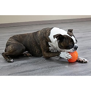 Starmark Everlasting Treat Bento Ball Tough Dog Chew Toy Medium