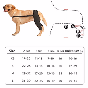 Rear Leg Knee Brace - Dog Leg Support Brace |Dog Acl Knee Brace | Canine Dog Wrist Brace Splint | Dog Hip Brace Support | Rear Leg Knee Brace | Protect Wounds | Prevent Injuries For Small, Medium Dogs