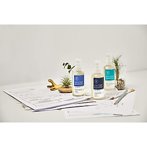 DR.SEED Hair Energizer Shampoo Booster. Fortifies the Hair Solution the Scalp 3.3fl.oz / 100m (Energizer)