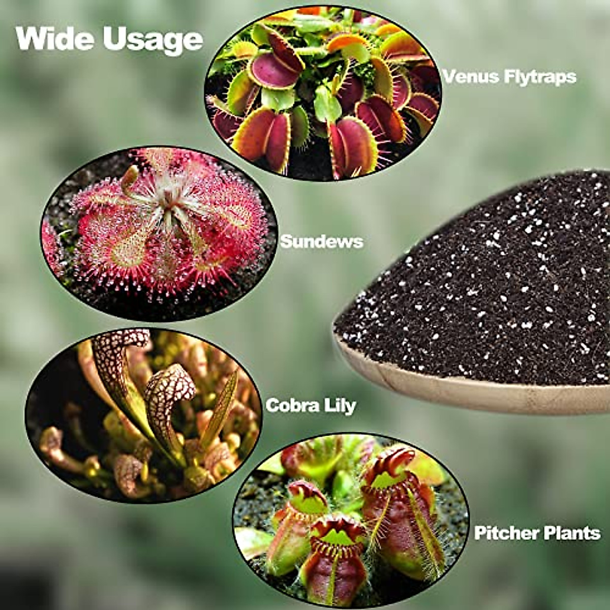 Carnivorous Plant Soil Mix, 1 QT Small Size Bag for Repotting, All ...