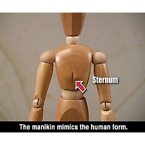 Drawing From The Manikin