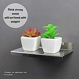 Deco Gables Designs 2 Modern Brushed Stainless Steel Bathroom Toilet Phone Shelves Floating Wall Holder Hanging Decor Durable Polished Solid Polished Metal Ledge with Mounting Hardware