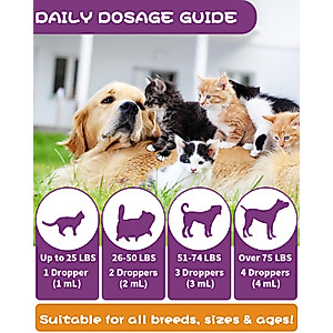 Cat & Dog Urinary Tract Infection Treatment | 60ML Support Bladder, Kidney & Incontinence | Cranberry Supplement for Cats & Dogs | Dog UTI | Cat UTI | Cat & Dog Kidney Support | Chicken Flavor