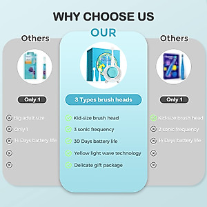 ARPHA Kids Electric Toothbrushes Age 1-8, Rechargeable Toddler Timer Toothbrush with 3 Kid-Sized Brush Heads, Yellow Light Technology, Blue Dinosaur Package