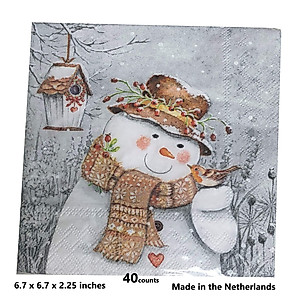 20-ct 13x13 Christmas Napkins with Snowman Napkins Christmas Paper Napkins Christmas Napkins Paper Christmas Cocktail Napkins Thanksgiving Napkins Decorative Decoupage Bird Winter Napkins