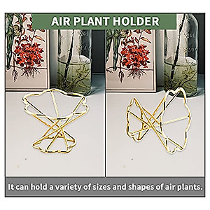 LIYI Air Plant Holder, Metal Air Plant Stand Container Airplant Display Racks for Home, Office and Wedding Decoration (Gold)