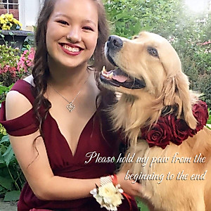 EUDORA 925 Sterling Silver Necklace Cute Dog Paws with Bone, Heart Shape Pendant 18", Gift for Dog Owner