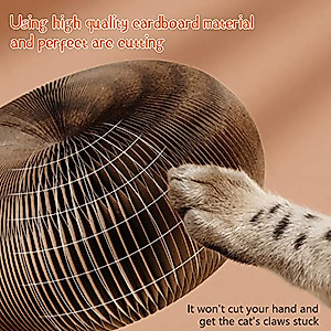 CusieryMax Cat Ball Adventure: The Ultimate Interactive Mental & Physical Exercise for Indoor Cats