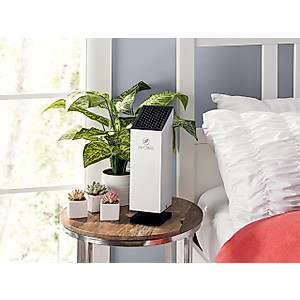 Air Oasis 1000G3 Air Purifiers, Brushed Aluminum
