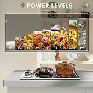 2 Burner Electric Cooktop 110v, Plug in Stainless Steel Electric Stove Top 12 inch Knob Control Countertop & Built-in Radiant Electric Stove with Residual Heat Indicator, Over-Temperature Protection