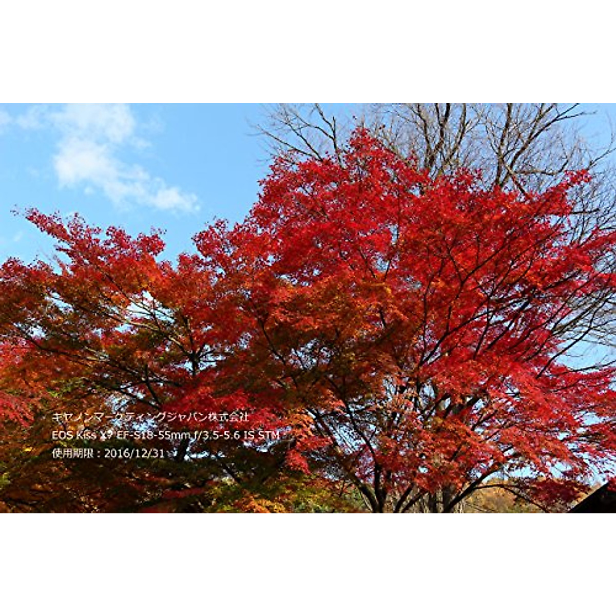 Canon DSLR Camera EOS Kiss X7 (White) with EF 40mm F2.8 STM + EF-S 18-55mm F3.5-5.6 IS STM - International Version (No Warranty)