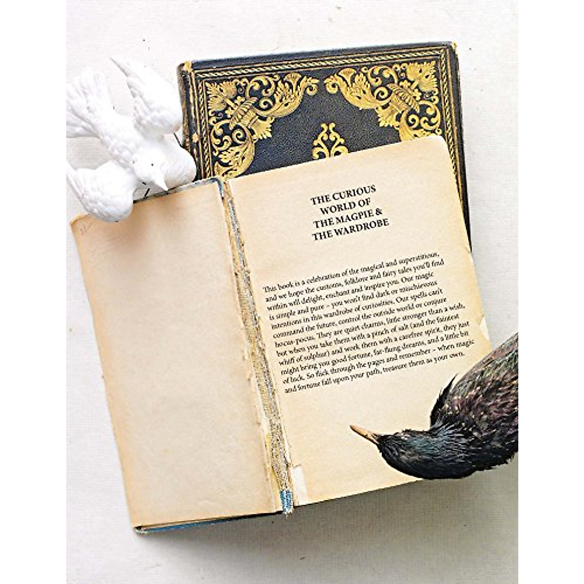 The Magpie and the Wardrobe: A Curiosity of Folklore, Magic and Spells