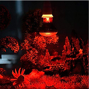 MD Lighting Pet Supplies 100w Infrared Heating Lamp 2 Pack, 110v E27 Basking Spot Light Bulbs for Reptile and Amphibian, as Bearded Dragons, Turtles, Ball Pythons, Red